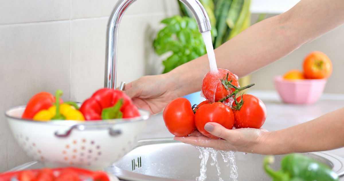 Food Safety – Greenberg Fruit Company